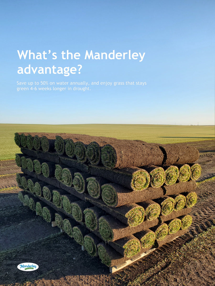 Calgary Fall Sod Sale on Now! – Direct Landscape Supply
