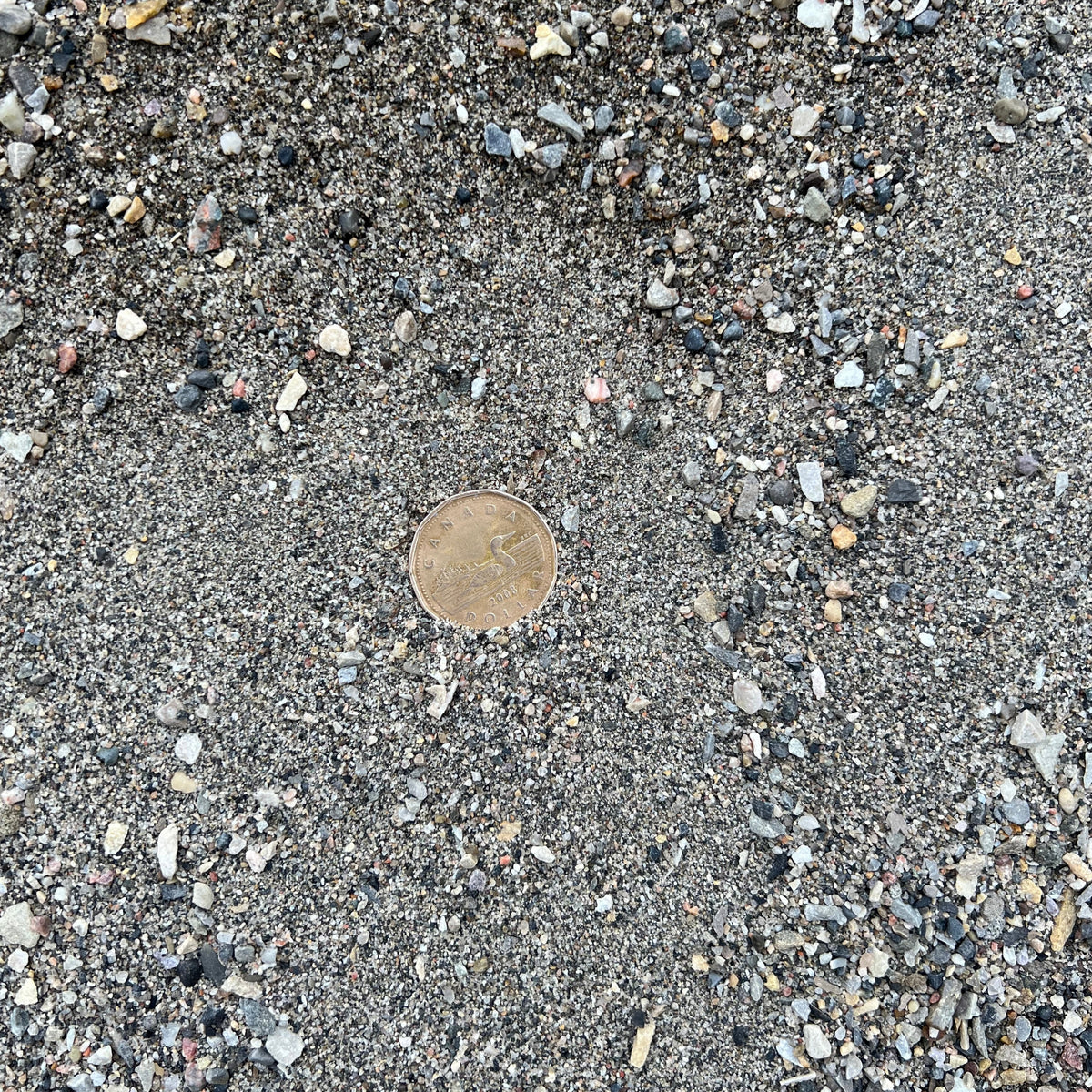 5mm WASHED SAND CALGARY - LANDSCAPER SAND – Direct Landscape Supply