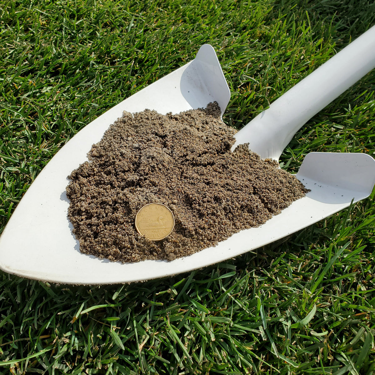 5mm Washed Sand Calgary - 1 Yard Bulk Landscape Bags – Direct Landscape ...